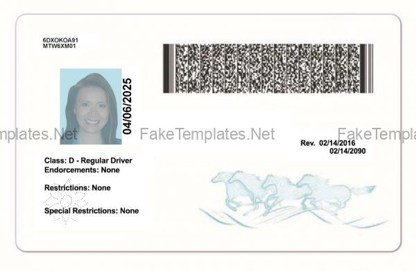 Montana Driver License Template PSD [Download Fake ID] 2023