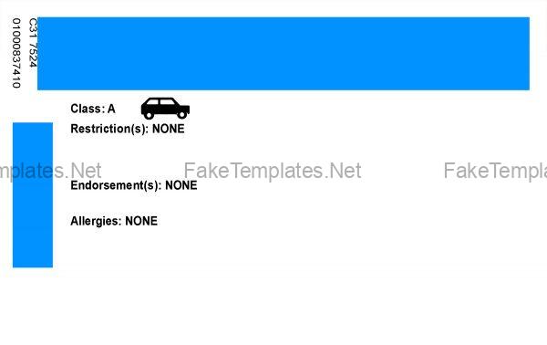 US Virgin Island Driver License Template PSD [Fake USA] 2023